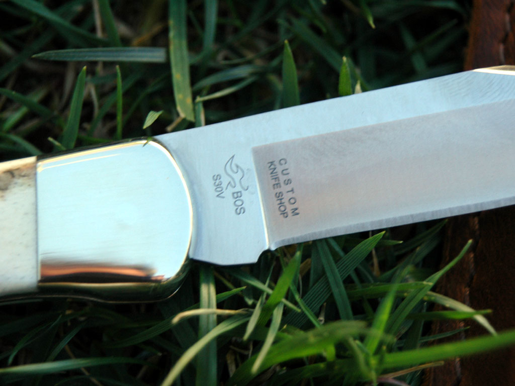 Matching Buck Custom 110 and BCCI 119 (Elk Scales, S30V) | BladeForums.com